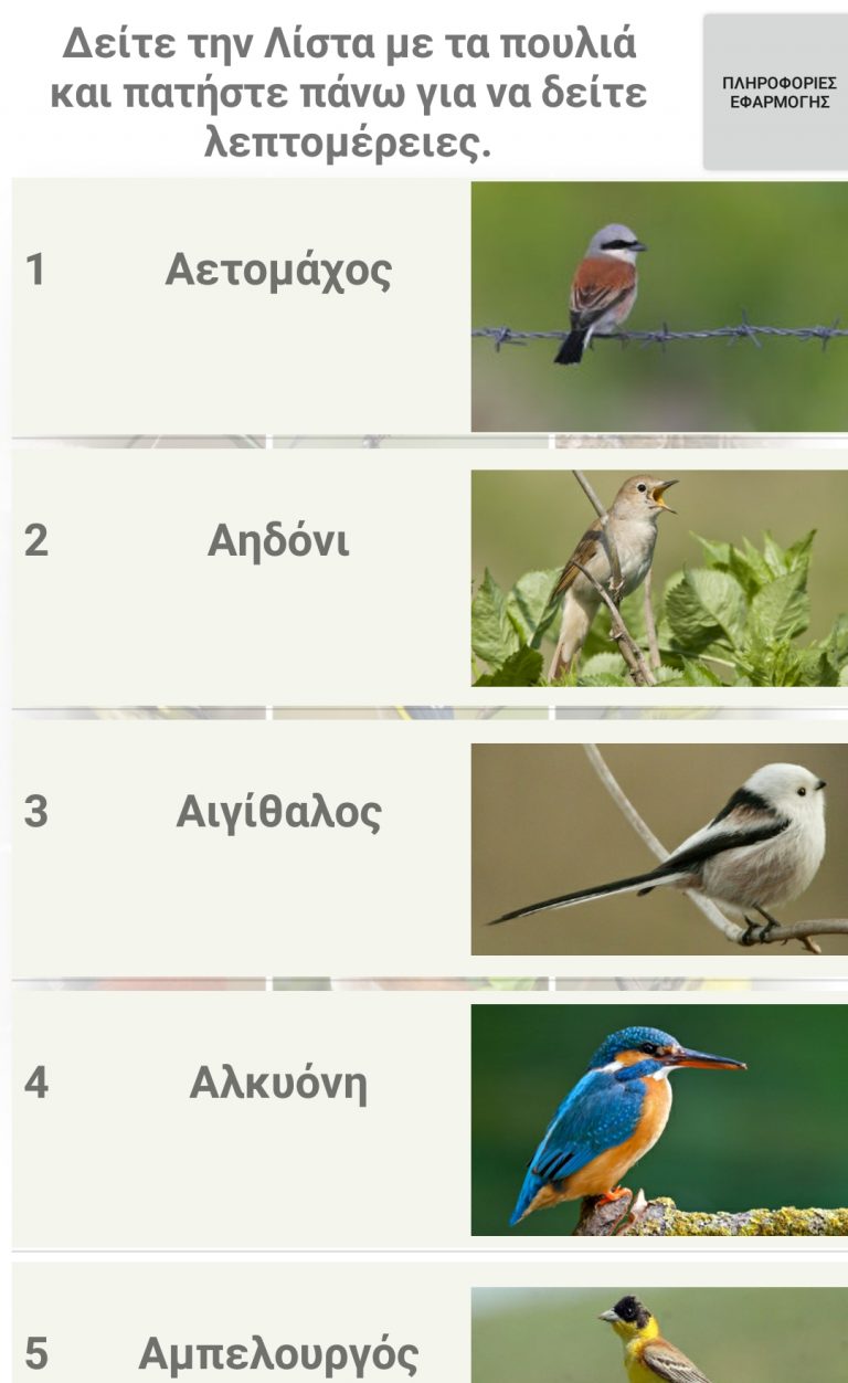 Τα 37 πιο γνωστά πουλιά της Ελλάδος!!